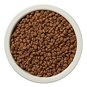 Amazon Brand - Wag Grain Free Dry Dog Food for Puppies, Chicken & Lentil Recipe (15 lb. Bag)