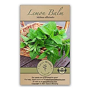 Gaea's Blessing Seeds - Lemon Balm Seeds - Non-GMO Seeds with Easy to Follow Planting Instructions - 92% Germination Rate Melissa Officinalis