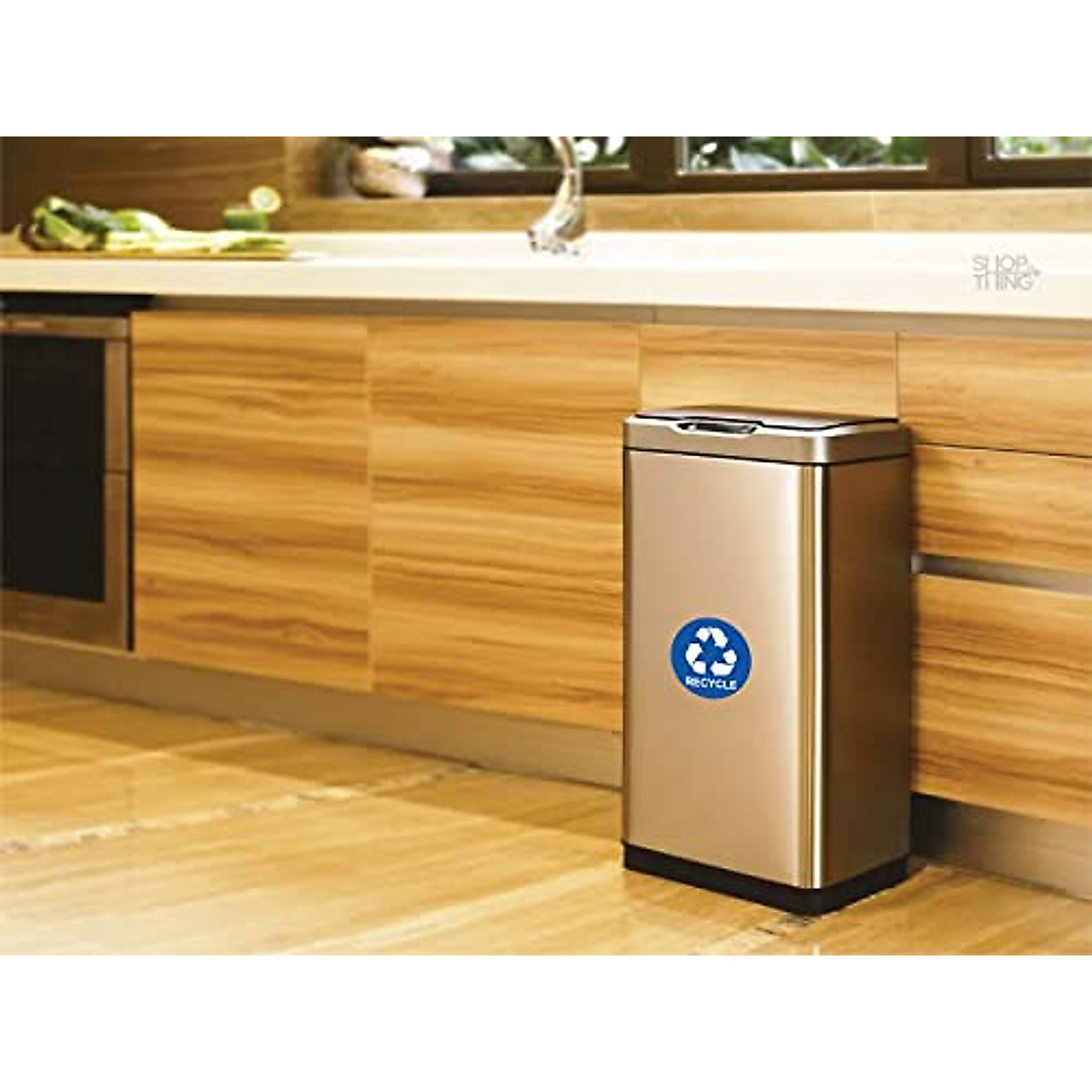 Recycle Sticker Trash Can Decal - Large Recycling Vinyl - 4 Pack (Black,Blue & Green) | ST - 019 (Size 5 Inches)