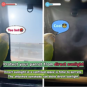 Birds Day Bird Carrier Backpack-Parrot Travel Cage with Perch and Food Bowl, Stainless Steel Tray (Dark Olive Green)