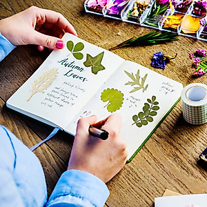 TimTin 84 Pieces Dried Pressed Leaves Dried Flowers Resin Dried Leaves Resin Mini Dried Flowers Crafts Dried Greenery Assorted Dried Leaves Art DIY Handmade Bookmarks 4 Bags (Vivid Style)