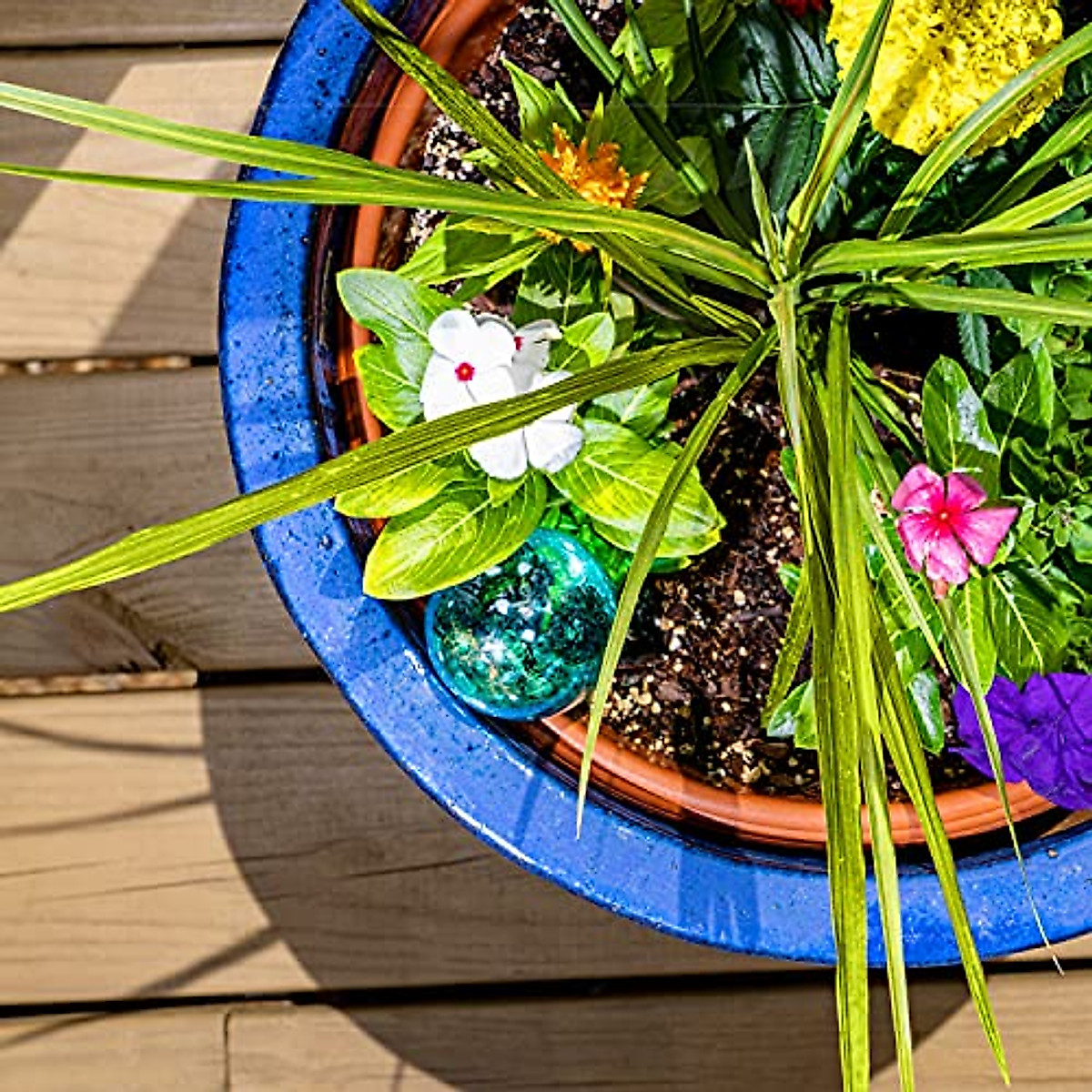 Wyndham House, 6 Piece Small Watering Globe Set, Colorful Hand-Blown Glass Plant Watering System