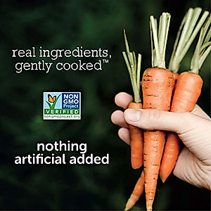 Beech-Nut Baby Food Jars, Veggie Variety Pack, 4oz, 12ct