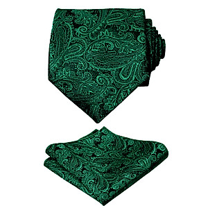 Alizeal Mens Paisley Tie Handkerchief Casual Floral Necktie Set