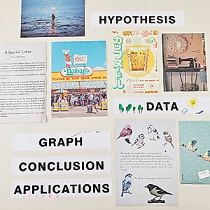 Self Adhesive Presentation Science Subtitles Science Fair Display Boards Science Fair Board Supplies Science Fair Titles for Classroom Office Science Fair Supplies (8 Set)