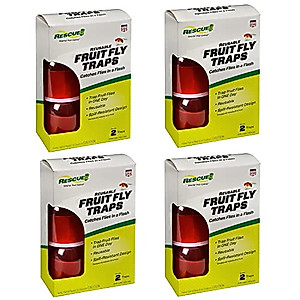 RESCUE! Reusable Indoor Fruit Fly Traps with Non-Toxic Liquid Attractant - 2 Traps, 4-Pack (8 Traps)