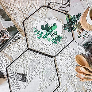 NCYP Side Length 4.7 inches Small Hanging Black Hexagon Herbarium 8inches Brass Glass Frame for Pressed Flowers, Dried Flowers, Double Glass Floating Frame Style, Glass Frame Only