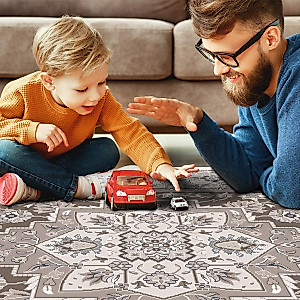 Area Rug 5'x7' Washable Rug for Living Room Stain Resistant Bedroom Rug Lightweight Large Area Rug Thin Vintage Rug Non Slip Machine Washable Rug Accent Rug for Dining Room Home Kitchen