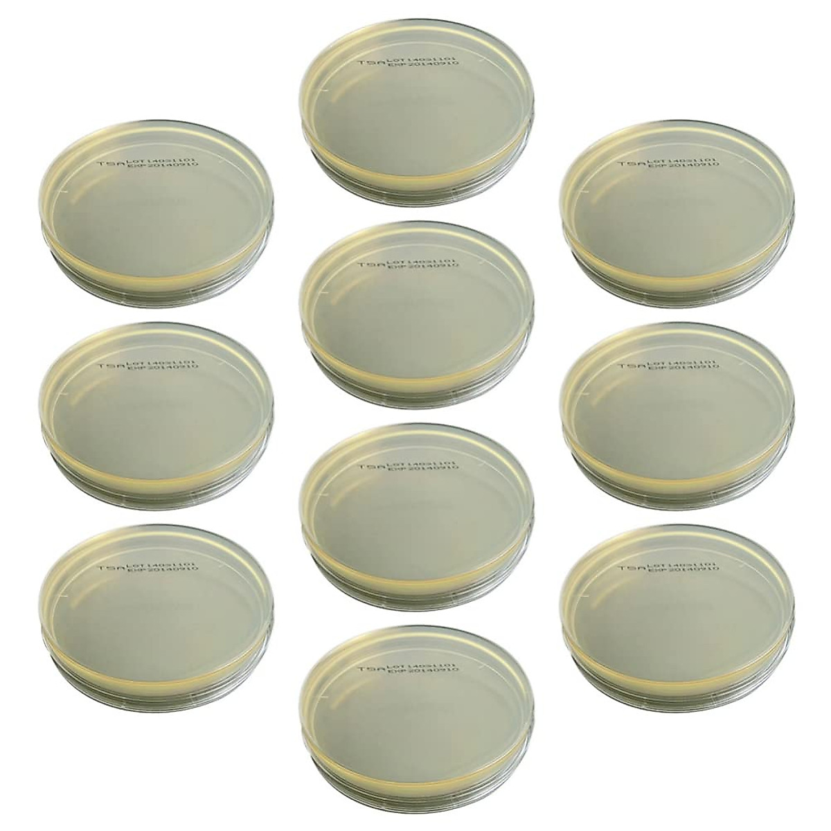 Petri Dishes with Agar, Agar Plates Prepoured Petri Dishes, 100x100mm Culture Medium Agar Plates Dextrose Agar Petri Dishes for Science Fair Projects (Pack of 10)