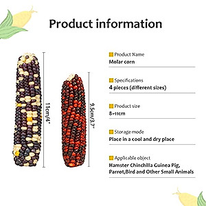 X-pet Hamster Treats and Chinchilla Chew Toys, 100% Natural Corn Suitable for Guinea Pig, Parrot,Bird and Other Small Animals