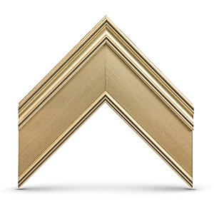 Frame My TV Deco TV Frames - Champagne Smart Frame Compatible ONLY with Samsung The Frame TV (55 inch, Fits 2021-2025 Frame TV)