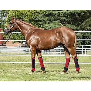 SKYCY Horse Splint Boots for Horse, Horse Brushing Boots Neoprene Travel Boots Leg Protection Wrap Black - Set of 4 Leg Wraps Safe Direct Contact Treats Sprains Bites Non Slip Horse Splint Boots