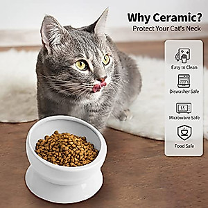 Nucookery Ceramic Cat Food Bowl Elevated,Raised Tilted Bowl Protect Pets' spines and Neck, Anti Vomiting Cat Bowl, Small Dog cat Kitten Supplies (5“, Pure White)