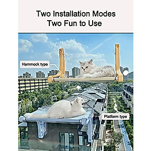 Cat Window Perch,Cat Hammock Window with Two Modes of Use and Easy to Install, Cat Window Bed with Powerful Suction Cups and Easy Cleaning, for Large Fat Cats or Two Cats ，Orange