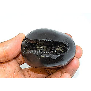 RUDRADIVINE Stone Laxmi Narayan Shaligram (Black)