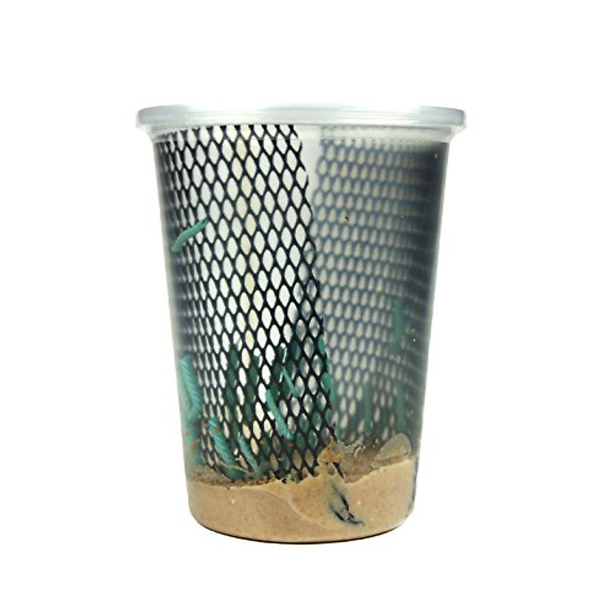 Josh's Frogs Hornworms Habitat Cup (25 Count Cup)