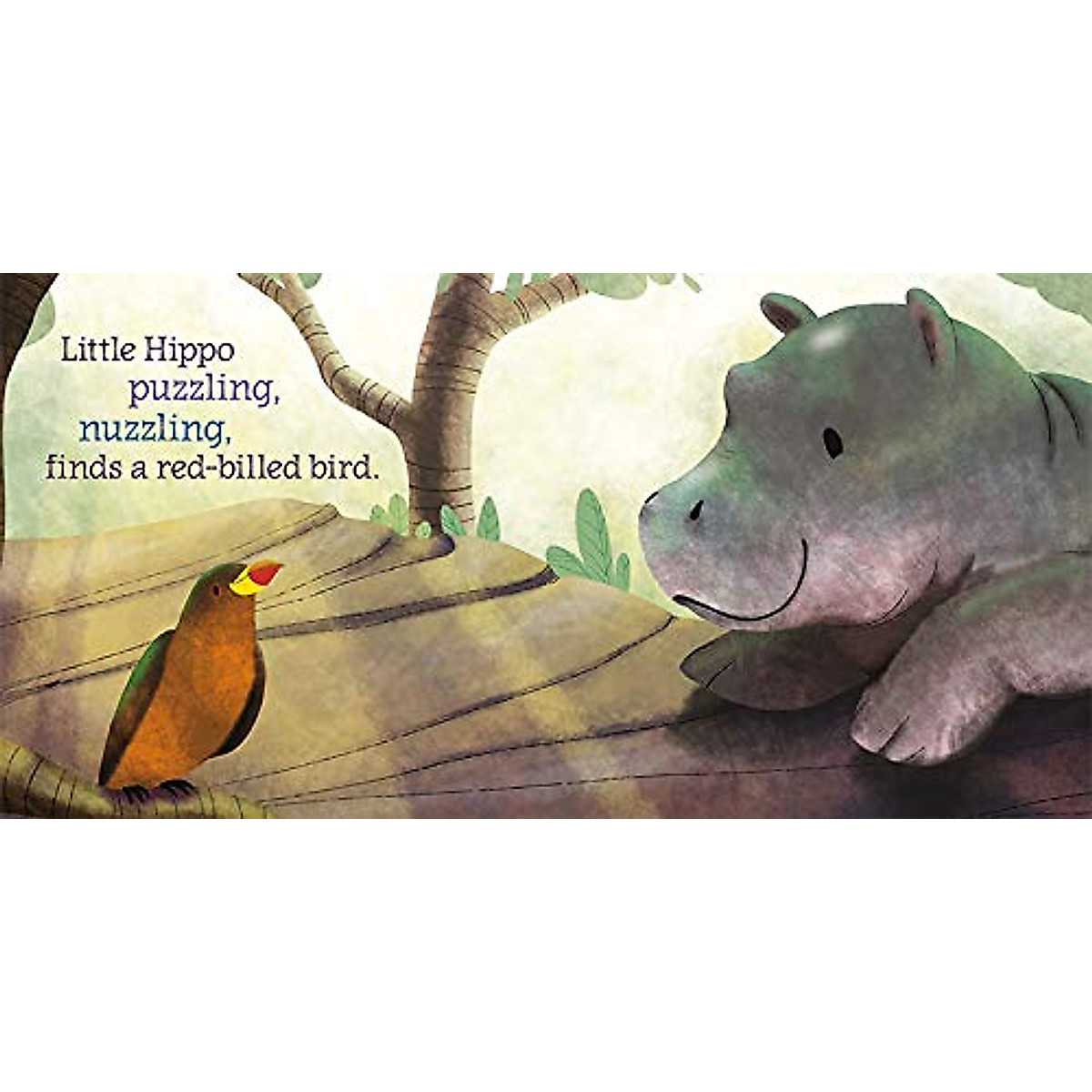 Little Hippo (Little Animal Friends)