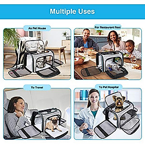MASKEYON Airline Approved Portable Pet Carrier 2 Sides Expandable Soft-Sided Large Cats Carrier Collapsible Kennel Travel TSA Carrier 4 Doors with Removable Pads and 3 Pockets for Puppy Small Dogs