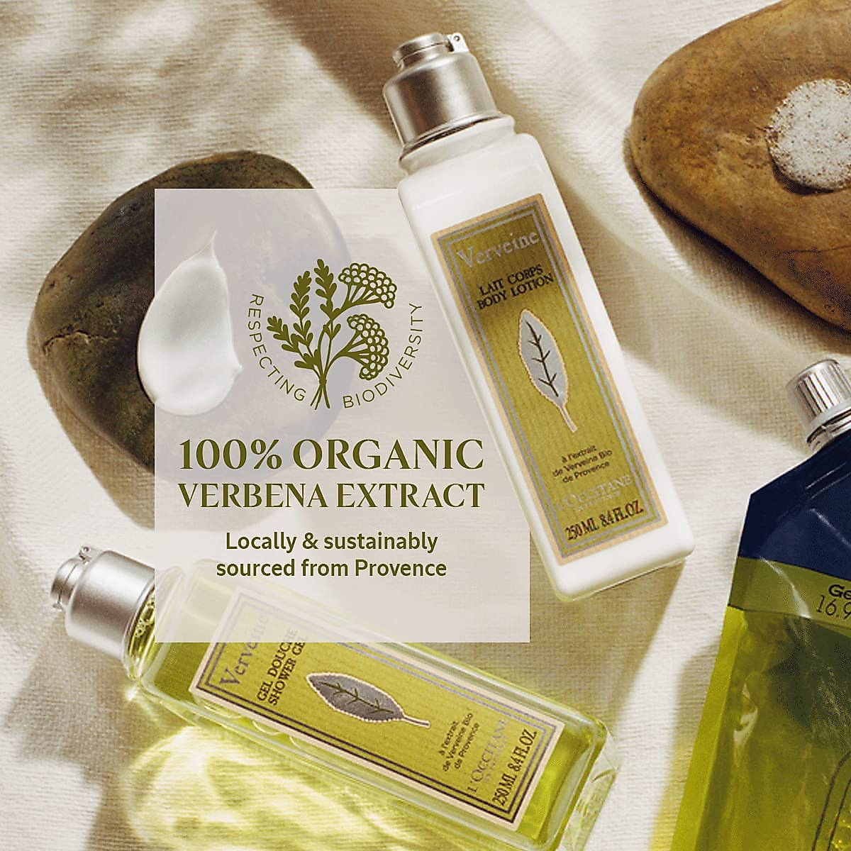 L'OCCITANE Verbena Body Lotion: Refreshing Lemon Scent, Softening, Moisturizing, Shea Butter & Organic Verbena Leaf Extract, Vegan