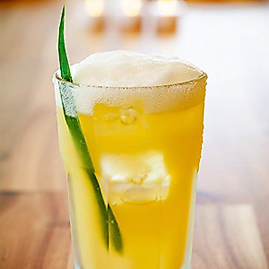 Otto 10 Ounce Highball Glasses, Set Of 6 Paneled Tall Drinking Glasses - Fine-Blown, Tempered, Dishwasher-Safe, Clear Glass Highball Tumblers, Chip-Resistant, For Water, Juices, Or Cocktails