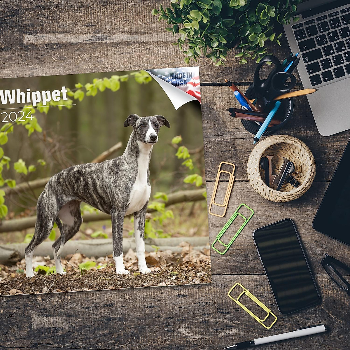 2023 2024 Whippet Calendar - Dog Breed Monthly Wall Calendar - 12 x 24 Open - Thick No-Bleed Paper - Giftable - Academic Teacher's Planner Calendar Organizing & Planning - Made in USA