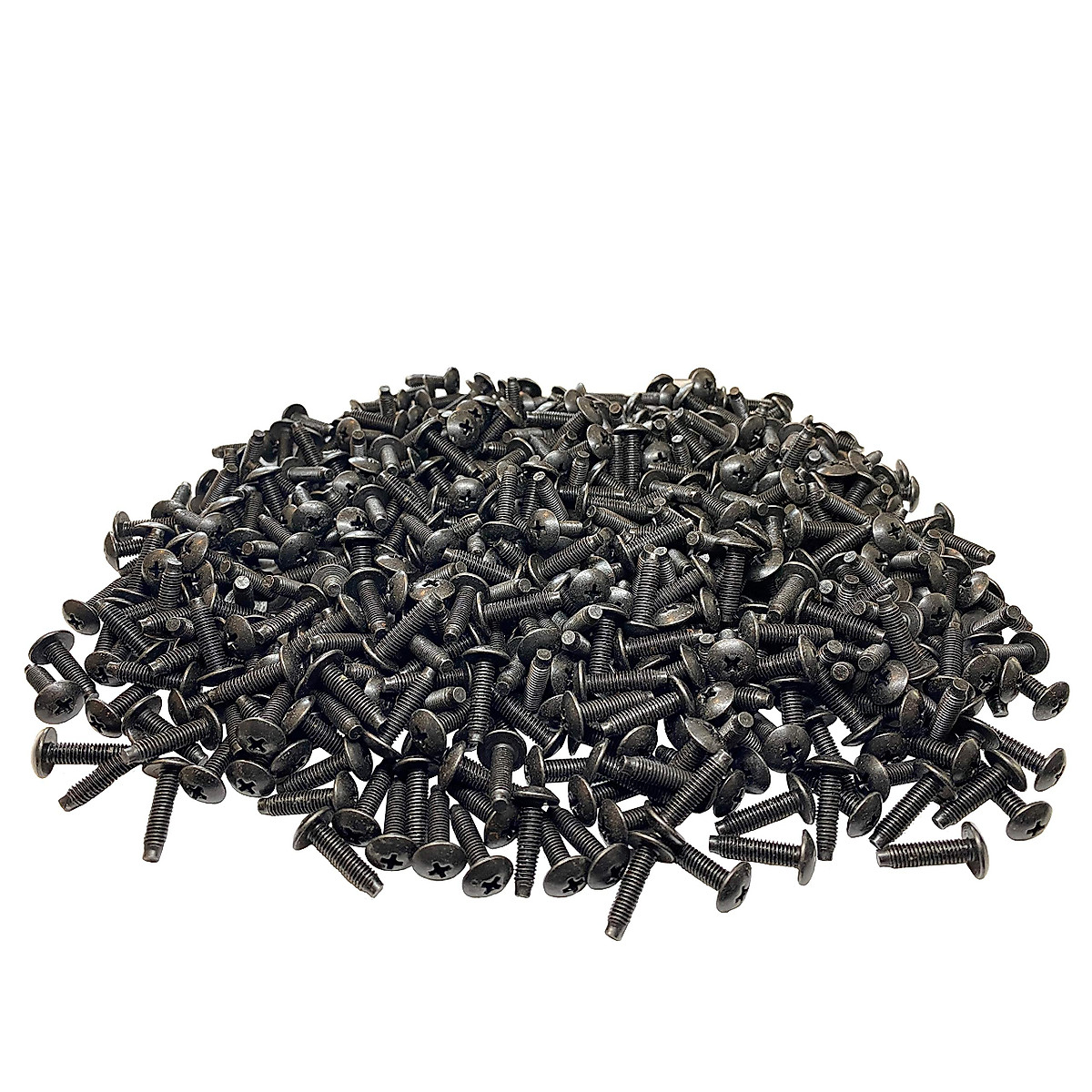 RackGold® 10-32 Pilot Point Rack Mount Screws 500 Pack Jar- USA Made