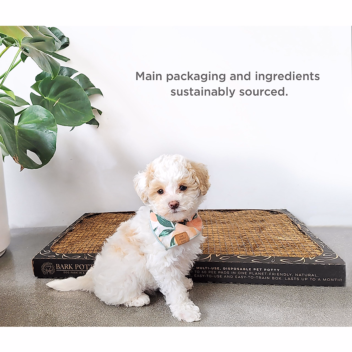 Bark Potty Disposable Dog Potty - Multi-Use, Odor Neutralizing, Non-Leaking - Lasts for Weeks - Indoor/Outdoor