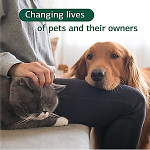 Standard Process VF Omega-3 for Pets - Dietary Supplement with Omega-3 Fatty Acids - Support Bone Growth, Immune Health, Heart Health & More - Fish Oil Supplement for Pets - 90 Softgels