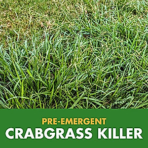 Spectracide Weed Killer, 10.8 lb, Clear