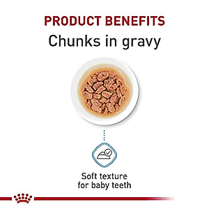 Royal Canin Small Breed Puppy Wet Dog Food, 3 oz cans 12-count