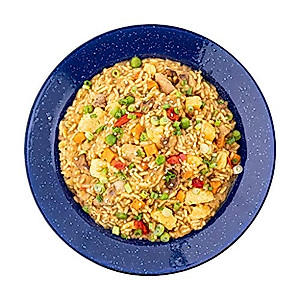 Mountain House Chicken Fried Rice | Freeze Dried Backpacking & Camping Food | 2 Servings | Gluten-Free