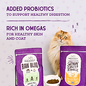 Stella & Chewy's Raw Coated Premium Kibble Cat Food – Grain Free, Protein Rich Meals – Cage-Free Duck Recipe – 5 lb. Bag