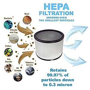 HQRP HEPA Filter compatible with Dyson Pure Cool Link Desk DP01 DP02 & Pure Hot+Cool HP01 HP02 Heater + Fan, 968125-03 EVO Filter Replacement