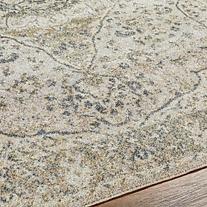 Artistic Weavers Lillian Washable Medallion Area Rug,2' x 3',Ivory