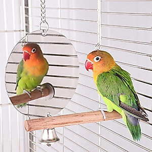 Bird Cage Toy Bird Mirror, Stainless Steel Bird Mirror Toy with Bell Swing Hanging Ringer for Parakeet Cockatiel Conure Budgie Lovebird Cockatoo Canary Finch Cage Accessories
