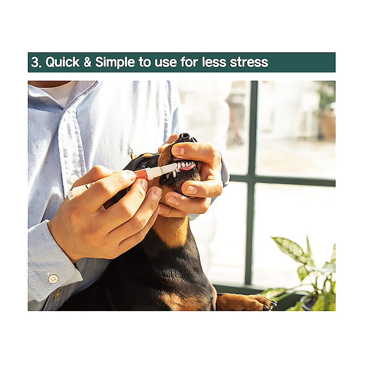 HIBOS Dog Toothbrush Toothpaste Dental Care - All in One Kit, Dog Toothpaste in Toothbrush, Dog Tooth Whitening & Cleaning, Dog Oil for Healthy Gums. (1 Pack)