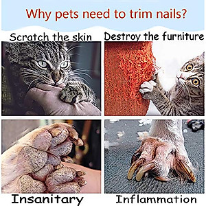 Dog Nail Grinder, Upgraded Version Professional Electric Pet Nail Grinder Trimmer Grooming Tools