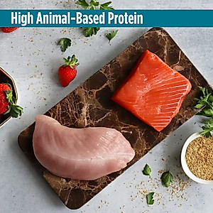 Nulo Freestyle Freeze-Dried Raw, Ultra-Rich Grain-Free Dry Dog Food for All Breeds and Life Stages with BC30 Probiotic for Digestive and Immune Health 13 Ounce (Pack of 1)