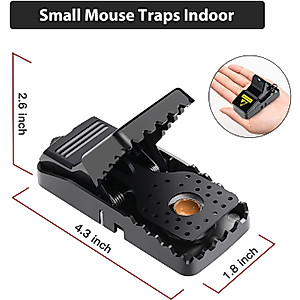 Dvcindy Mouse Traps Indoor for Home Small Mouse Trap for House Mice Snap Trap Effective Sanitary Quick Mouse Catcher - 12 Pack