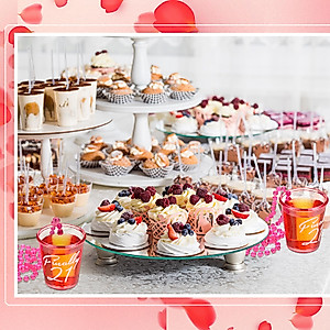 Bokon 24 Pcs 21st Birthday Shot Glass Finally 21 Birthday Shot Necklaces Cups Plastic 21st Shot Glass on Beaded Necklaces for Adults Party Supplies Favors Decorations(Hot Pink)