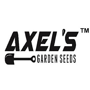 Sunflower Seeds for Planting - Grow Red Velvet Queen Sun Flowers in Your Garden - 25 Non GMO Heirloom Seeds - Full Planting Instructions for Easy to Grow - Great Gardening Gifts (1 Packet)