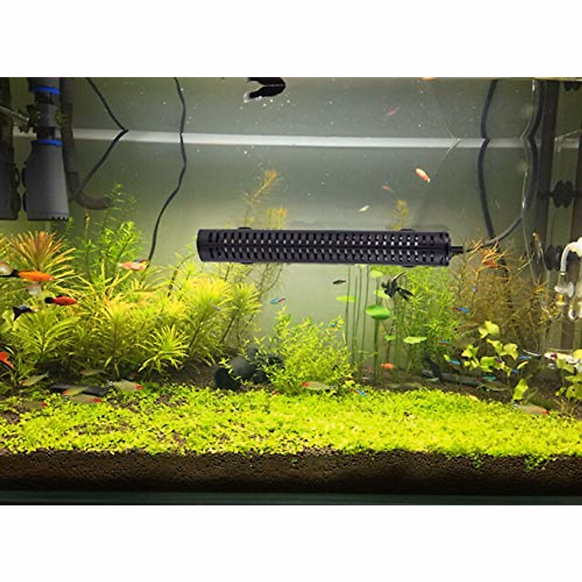 hygger 300W Aquarium Heater with External Digital Temperature Controller Reef Saltwater Fish Tank Heater for 30-60 Gallon Tank