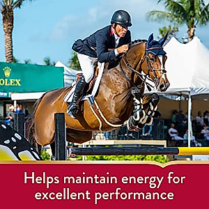 Vita Flex Pro Horse Lactanase Performance Supplement Single Serve Packet