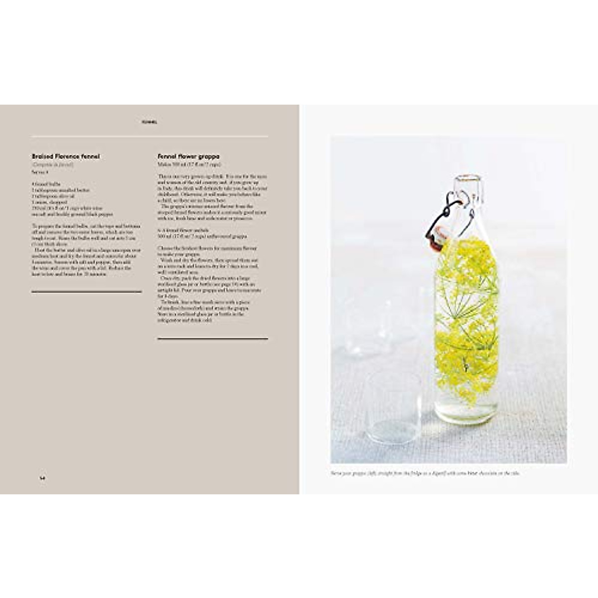 Root to Bloom: A Modern Guide to Whole Plant Use