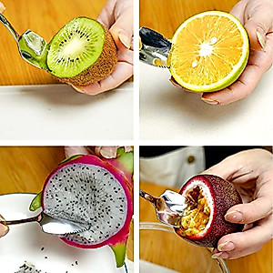 Better Houseware Grapefruit Spoons ,Set of 2 Grapefruit Spoons serrated stainless steel ,grapefruit spoon Baby fruit spoon scraper, Spoons with Serrated Edges for Orange & Kiwi, Ginger Peeler