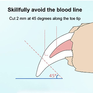 Pets Nail Clippers Cat Claw Clipper - Cat Nail Trimmers Suits All Small Animals Such as Dogs, Cats, Puppies, Kittens, Birds, Hedgehogs, Ferrets, Rabbits, Hamsters