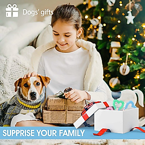 cobee Puppy Toys for Teething Small Dogs, 3 Pcs 360° Deep Clean Small Dog Heart Shaped Chew Ring with Cotton Ropes Interactive Pet Toys for Small Dogs, Oral Teeth Soothes Itching for 2-8 Months Dogs