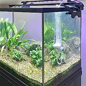 boxtech Aquarium Air Stone, Fish Tank Bubble Diffuser High Dissolved Oxygen Airstones for Air Pump Accessoriess with 1 Check Valve, 2 Suction Cup for Aquarium Pond Hydroponic