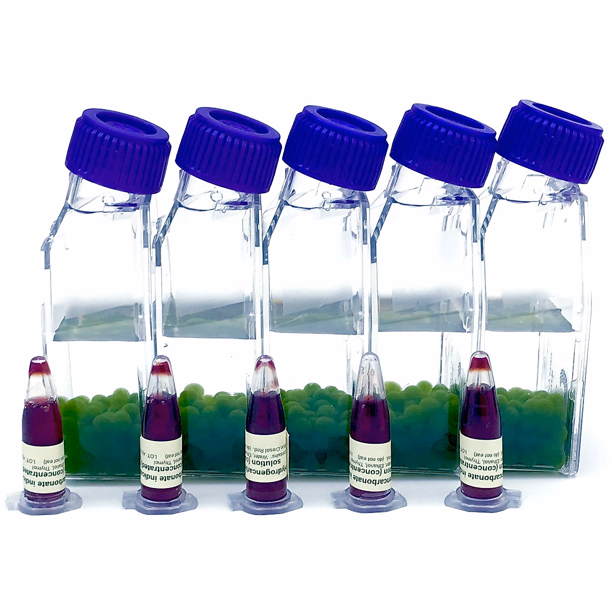 Algae Research and Supply: Algae Beads (Ready-to-go Algae Beads in Indicator- snap vials (x10))