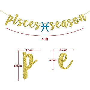 Pisces Season Birthday Banner Zodiac Birthday Party Decorations February March Astrology Sign Gold Glitter String Decor